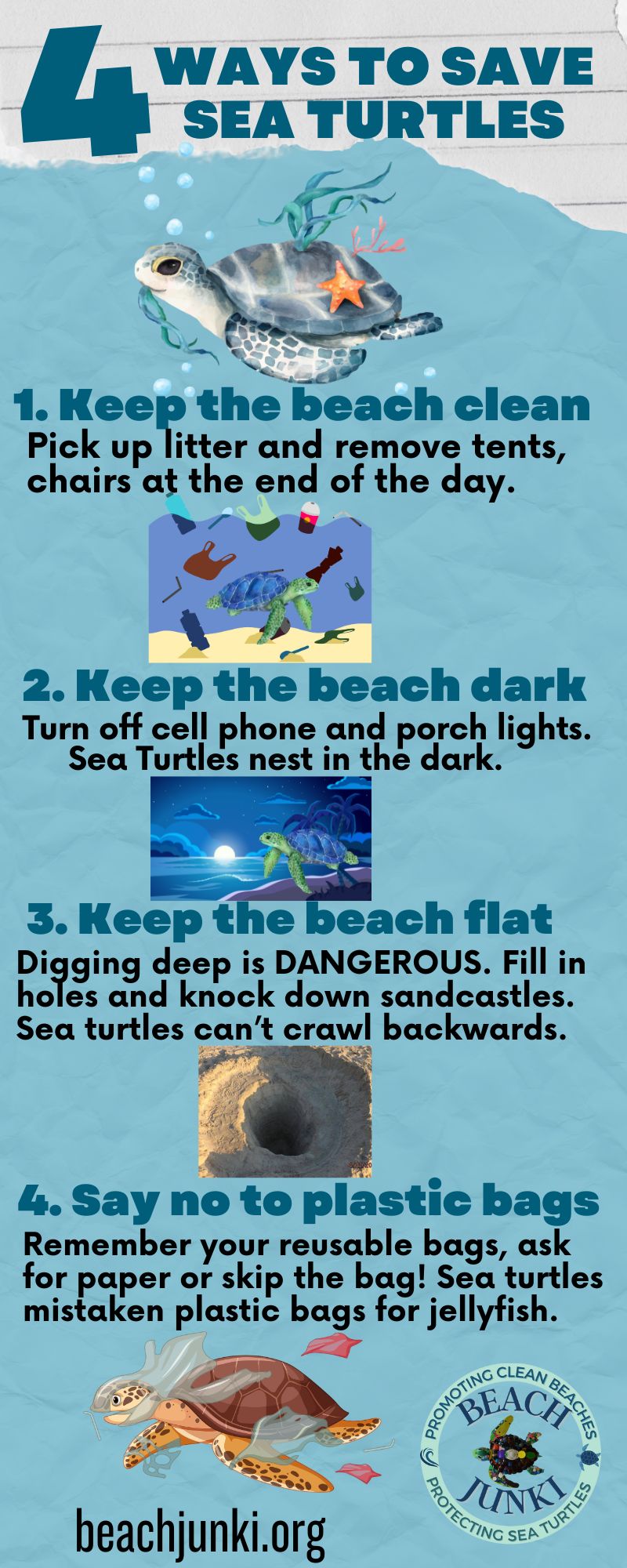 SEA TURTLES | BEACH JUNKI